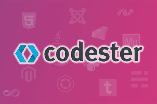 Codester Review: A Great Marketplace for Web Developers & Designers