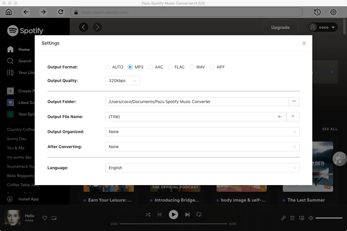 Review of Pazu Spotify Music Converter - Is it the Best?